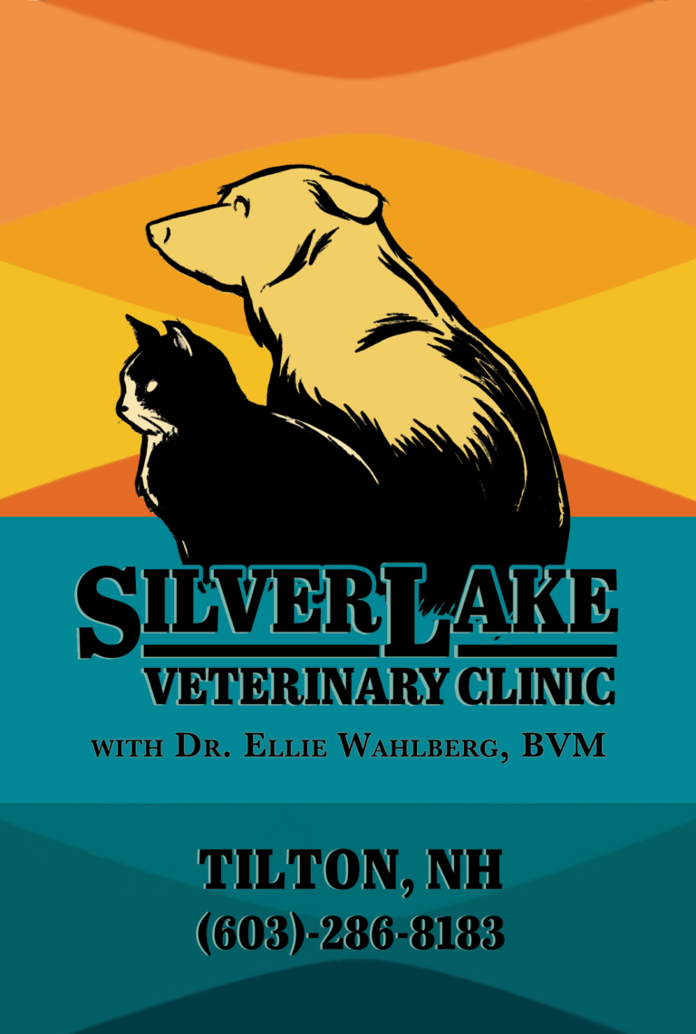 Silver Lake Veterinary Clinic